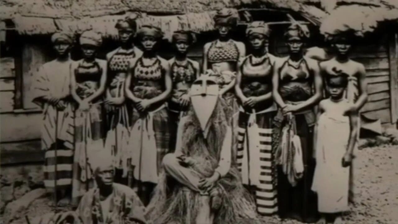 A History of Witches - Ancient Tree of Life