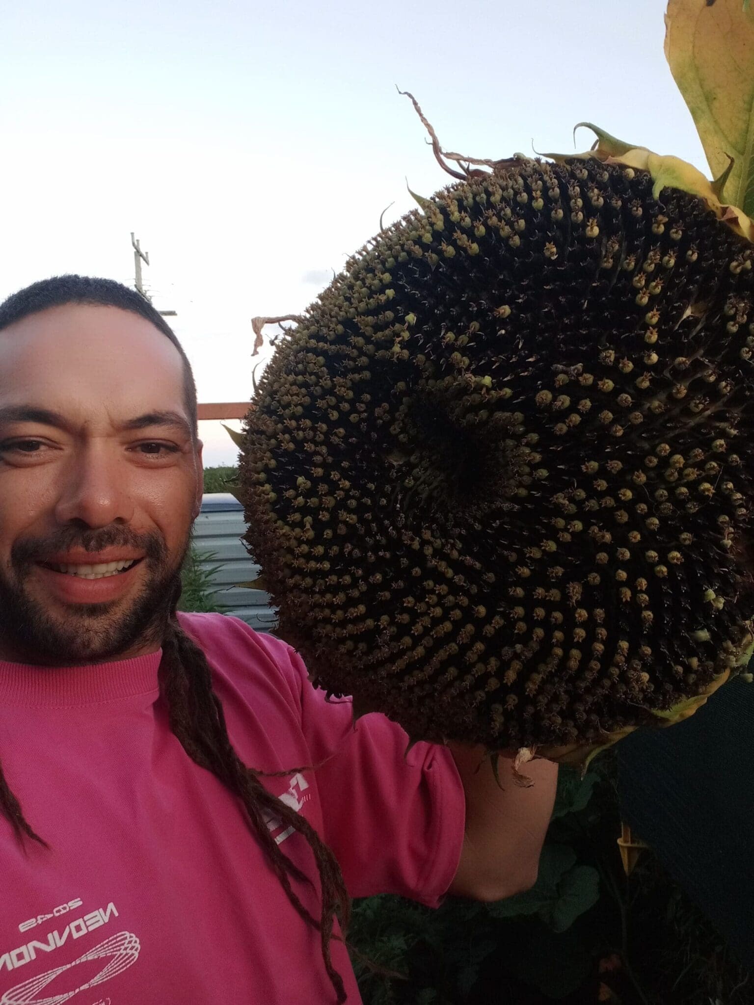 A journey through, time | Ancient Tree of Life